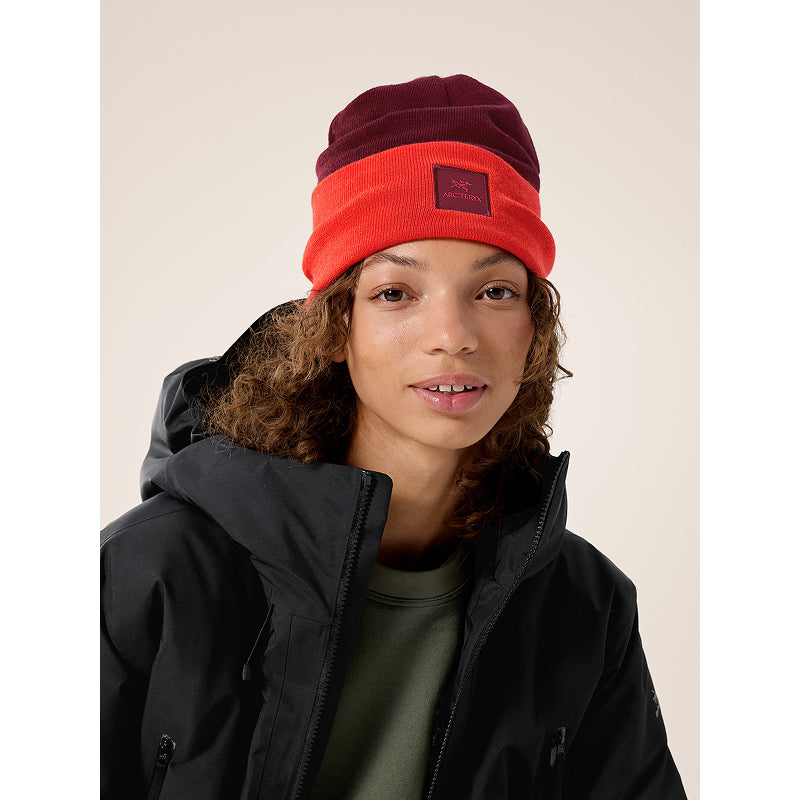 Arc'teryx Colour Block Toque – Take It Outside
